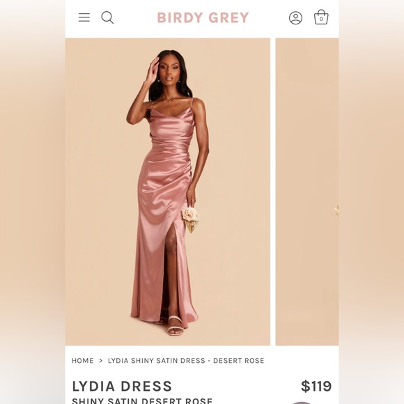 Birdy Grey | Dresses | Birdy Grey Dress Lydia In Desert Rose Color ...